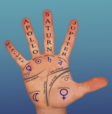 What Do The Lines In Your Hand Mean | Tana Hoy